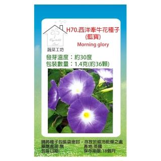 【蔬菜工坊】H70.西洋牽牛花種子(藍寶)-momo購物網 - 好評推薦 - 2025年8月