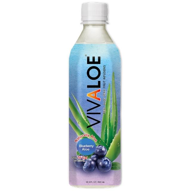 【VIVALOE】纖薈藍莓蘆薈果汁飲料500ML*6罐 - momo購物網 - 好評推薦 -2023年10月