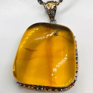 【勝弘珠寶】多明尼加藍蟲珀項鍊-momo購物網 - 好評推薦 - 2025年12月