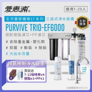 【EVERPURE 愛惠浦】櫥下型 PURVIVE Trio-EF6000大流量不鏽鋼龍頭三道式生飲淨水器(前置樹脂+PP)-momo購物網 ...