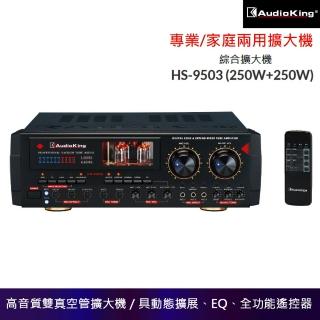 【Audioking】HS-9503 綜合擴大機(專業/家庭兩用擴大機 250W+250W大功率輸出)-momo購物網 - 好評推薦 ...