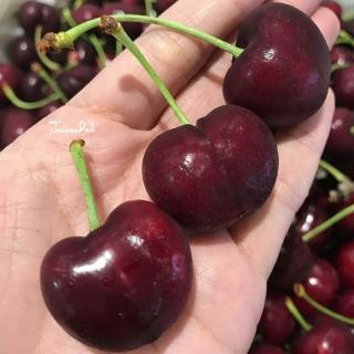 【台灣紅】超大規格加州空運櫻桃(9R/1kg/禮盒)-momo購物網 - 好評推薦 - 2025年6月