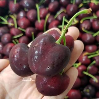 【台灣紅】超大規格加州空運櫻桃(9R/1kg/禮盒*共2盒)-momo購物網 - 好評推薦 - 2025年5月